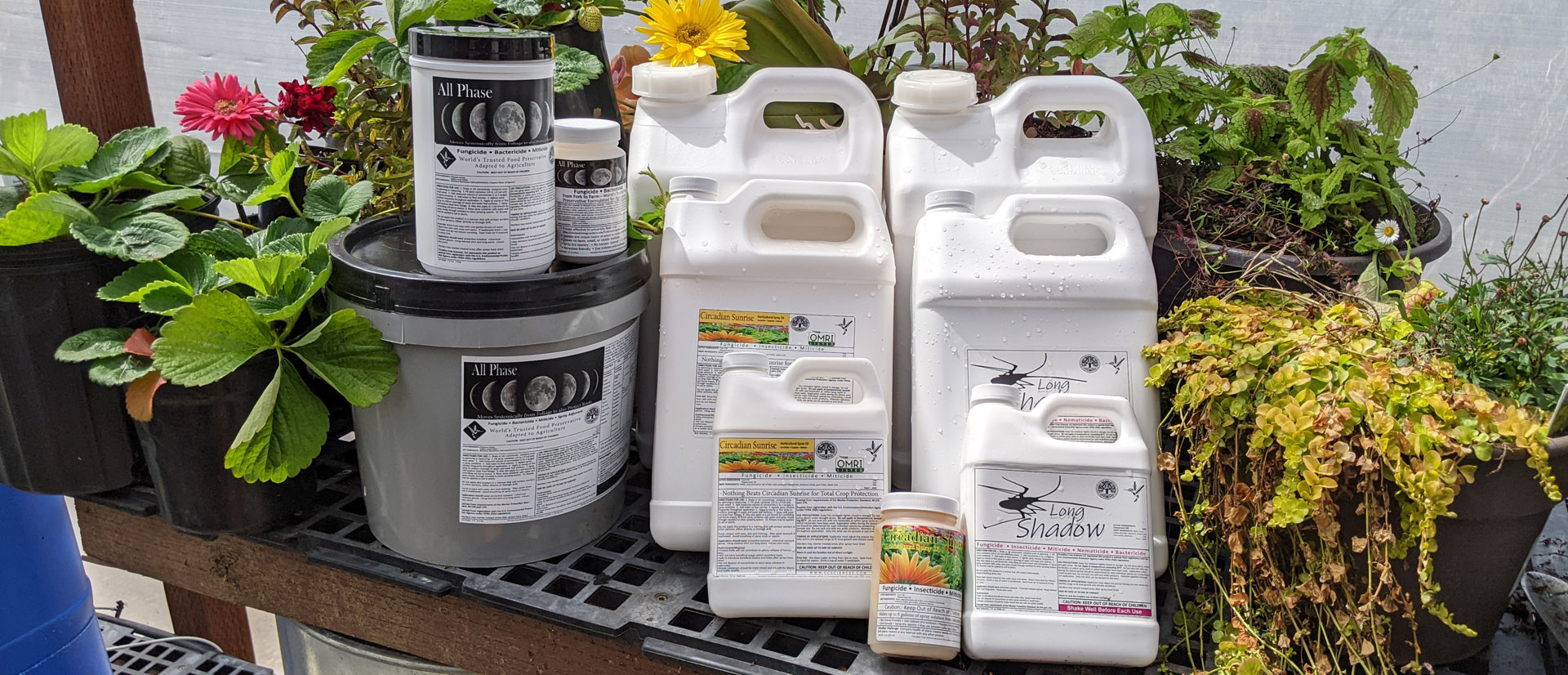 Group-Product-Photo – Circadian Crop Sciences, LLC